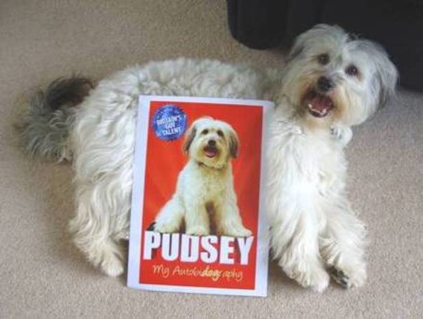 Britain's Got Talent winner Pudsey the dog writes a book! - Celebrity ...